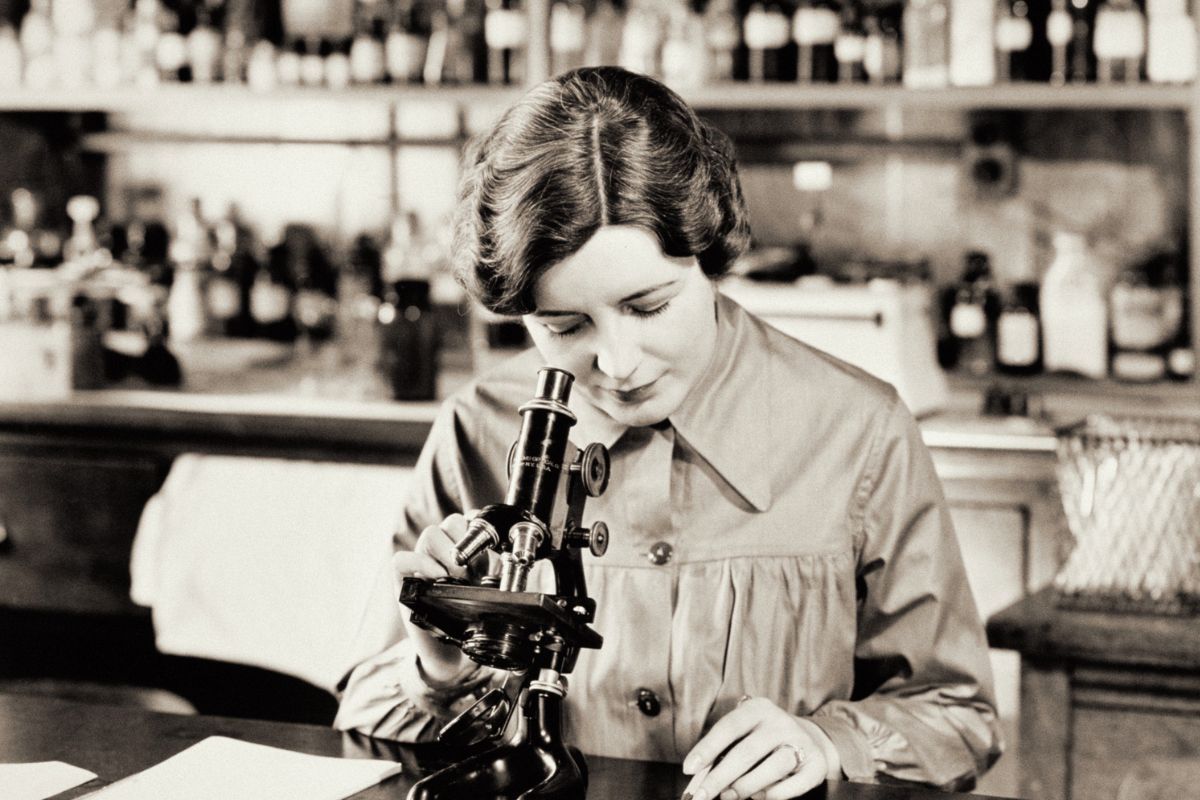 L’entomologiste en quelques lignes - SOLUTY