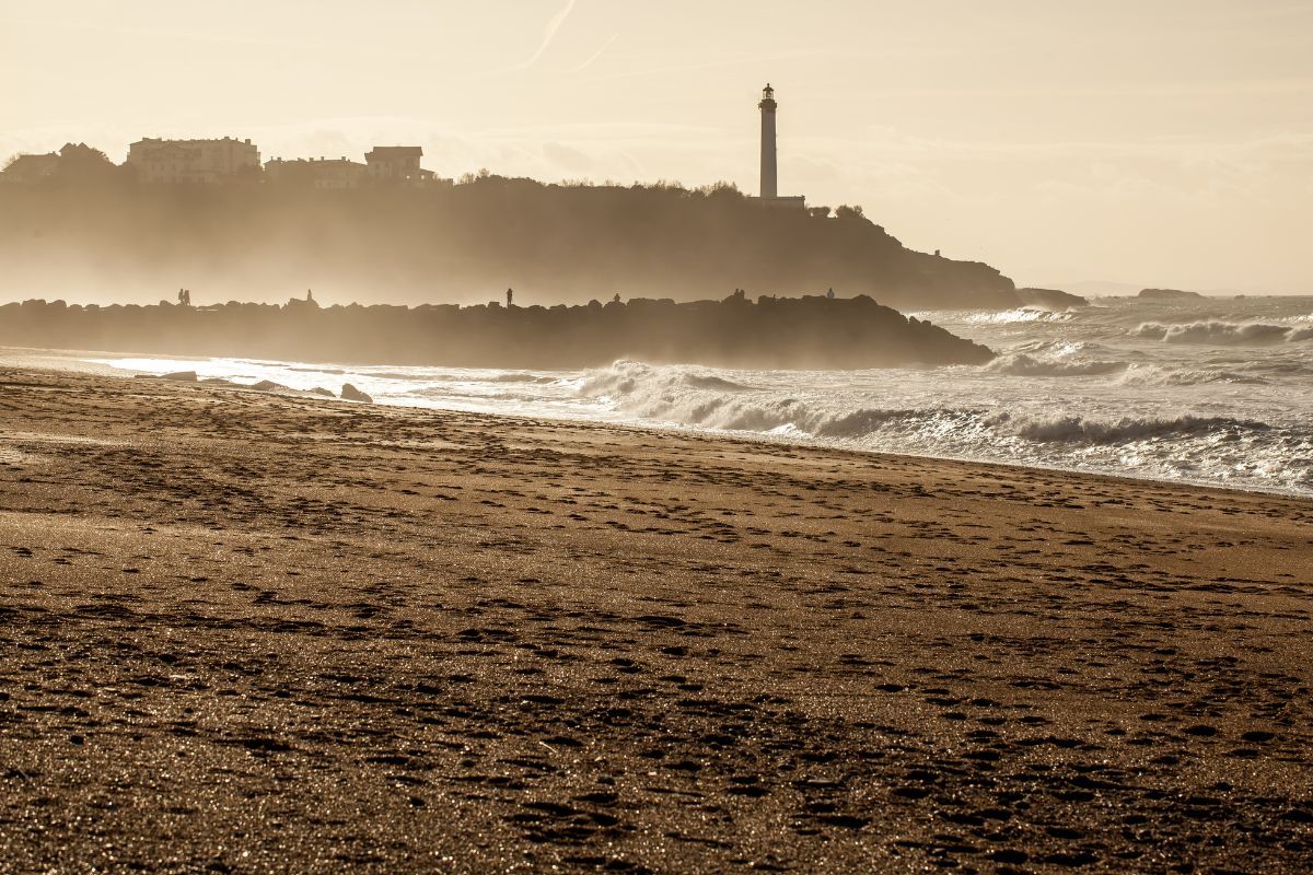 Anglet : Traitement termites, insectes xylophages, mérule - SOLUTY