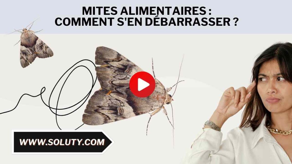 Découvrez des solutions pour éliminer les mites alimentaires - SOLUTY