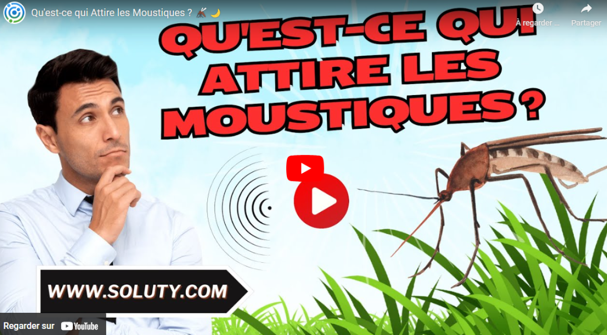 Découvrez ce qui attire les moustiques vers vous - SOLUTY