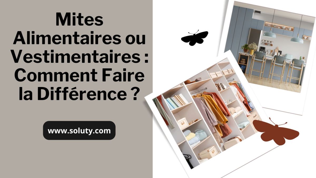 Mites Alimentaires ou Mites Vestimentaires ? - SOLUTY